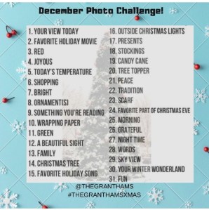 December Challenge – The Spoonie Mummy